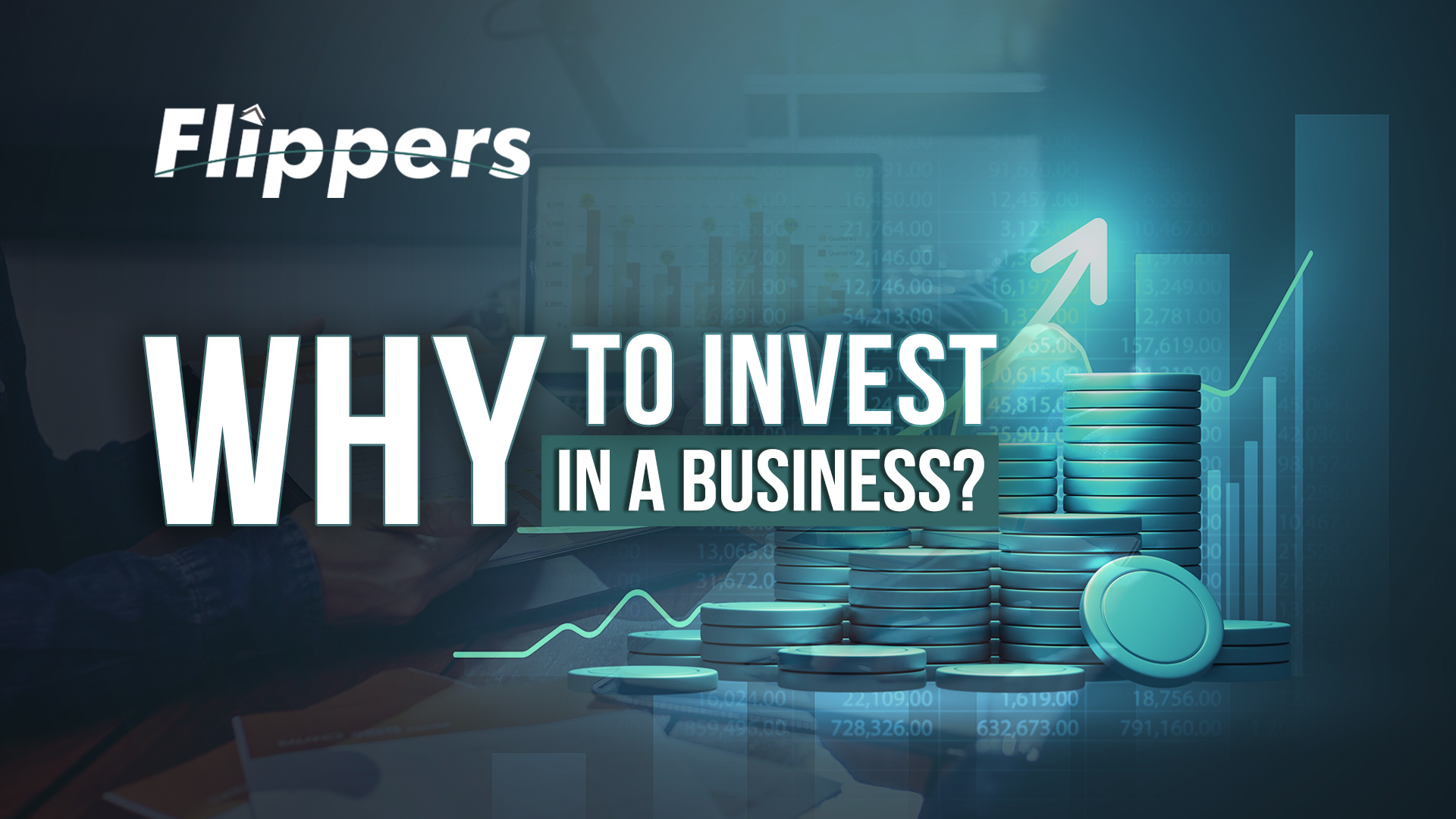 Why to invest in business? - Flippers